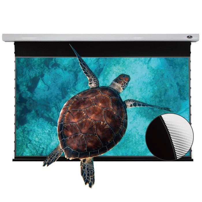 VIVIDSTORM PRO Slimline Motorized Tension UST ALR Projector Screen ...
